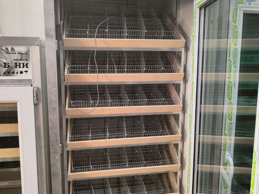 Инкубатор для страусиных яиц