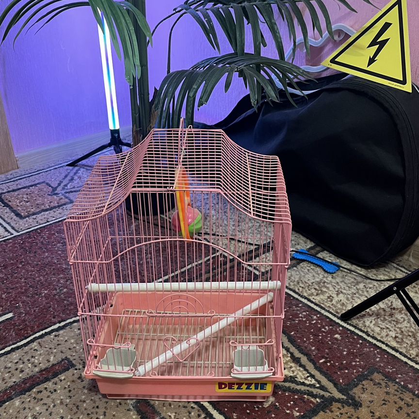 Клетка для попугая