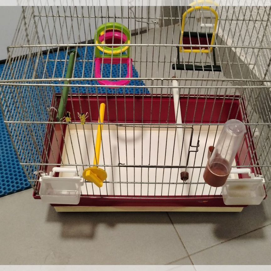 Щегол и клетки