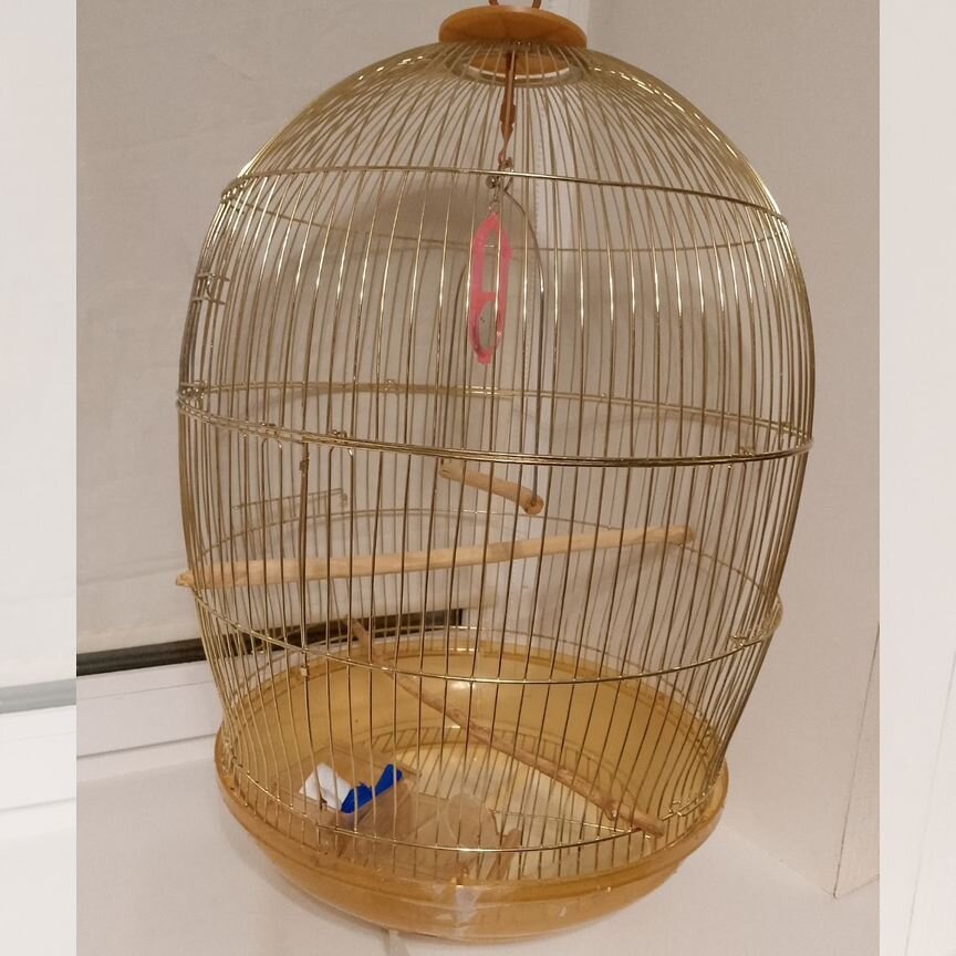 Клетка для попугая