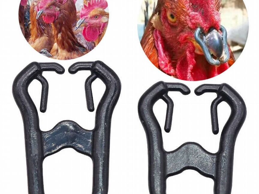 Стопорное кольцо от расклева (канибализма) для кур
