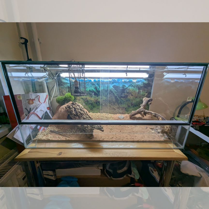 Террариум для рептилий большой