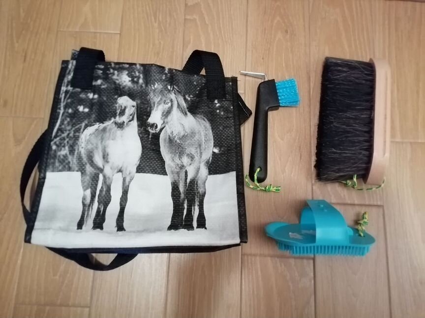 Набор по уходу за лошадью