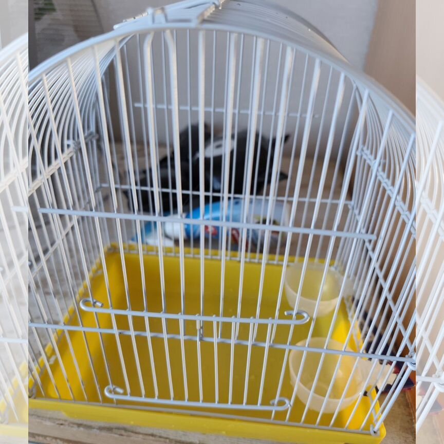 2 маленькие клетки для попугаев