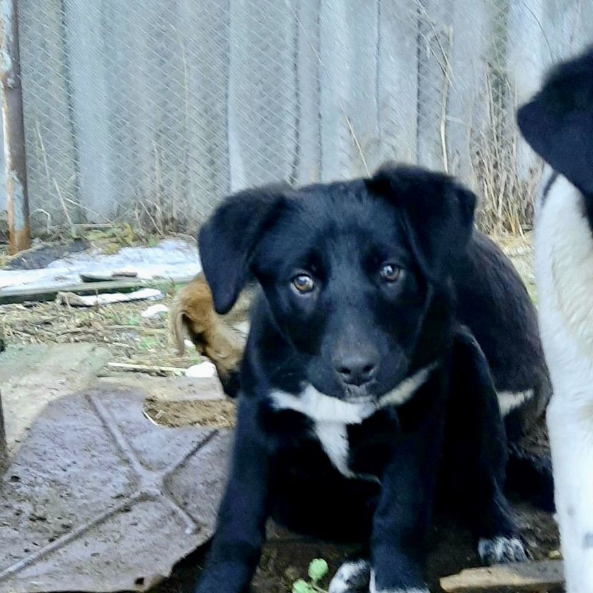 Джеки живет одна на промзоне, нужен дом