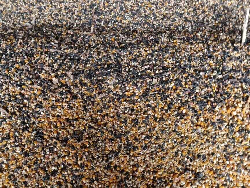 Кукуруза колотая с подсолнечником