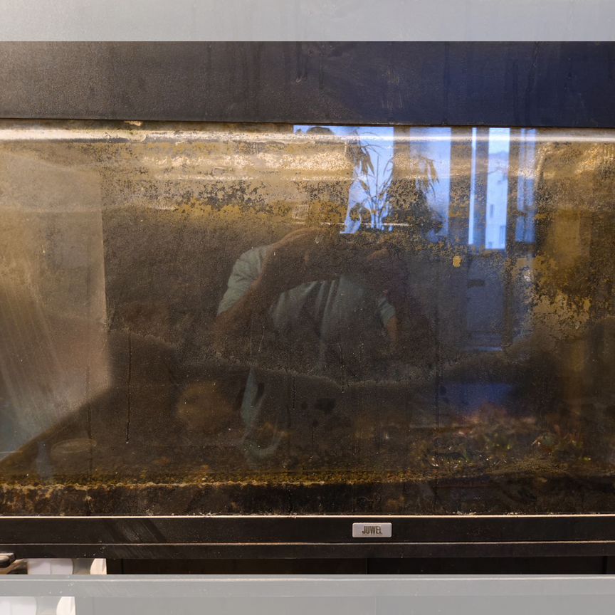 Аквариум Juwel rio 125 с тумбой