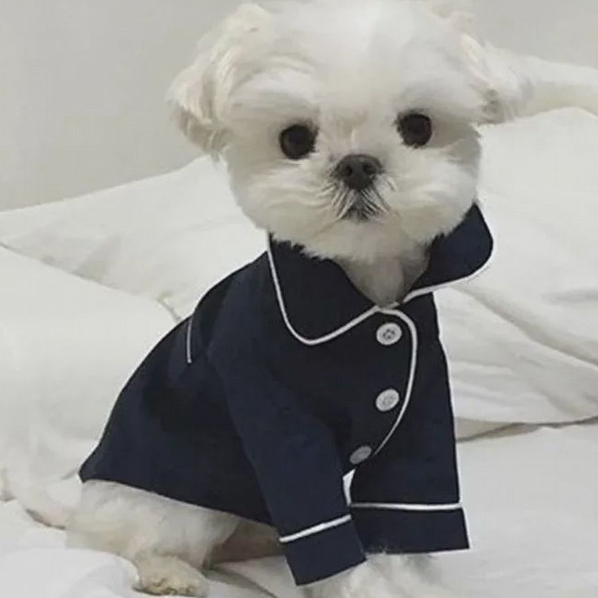 Модная пижама для домашних животных