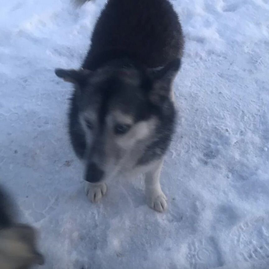 Угроза убийства на предприятии