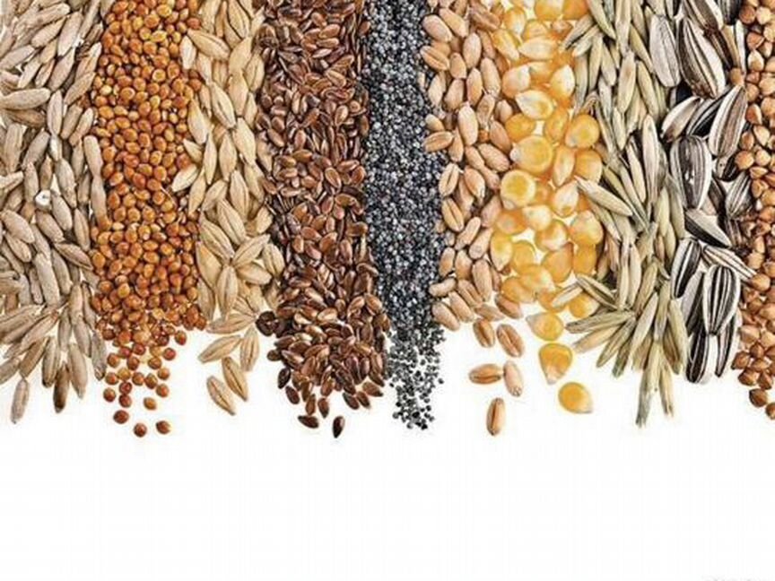 Пшеница, ячмень, овес, семена подсолнечника, лён