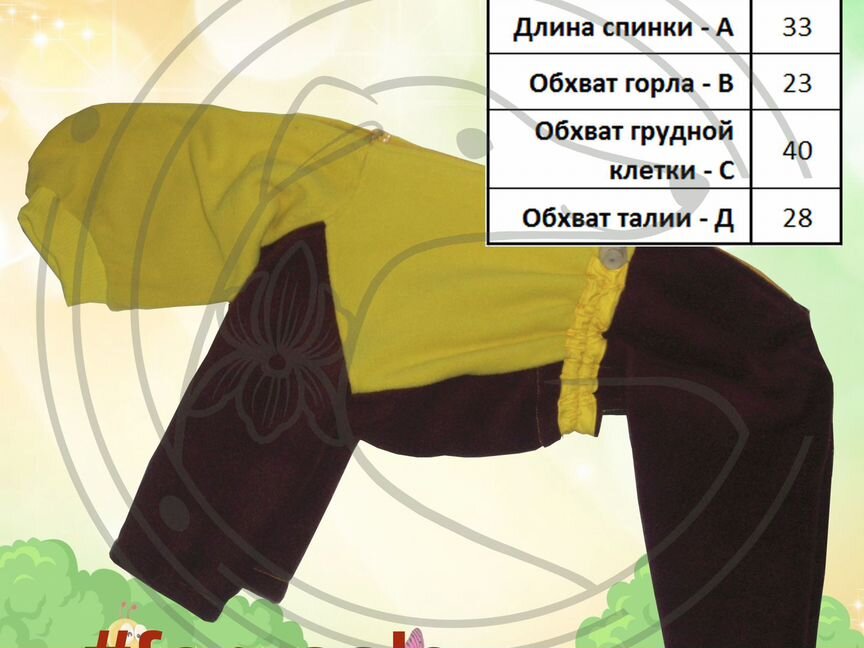 Одежда для левреток