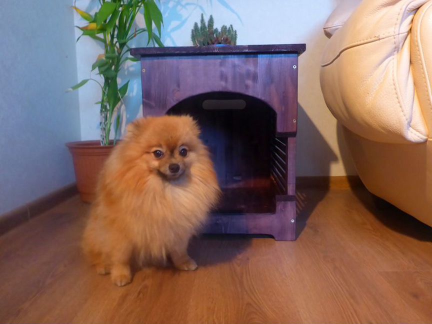 Будка для собаки кошки