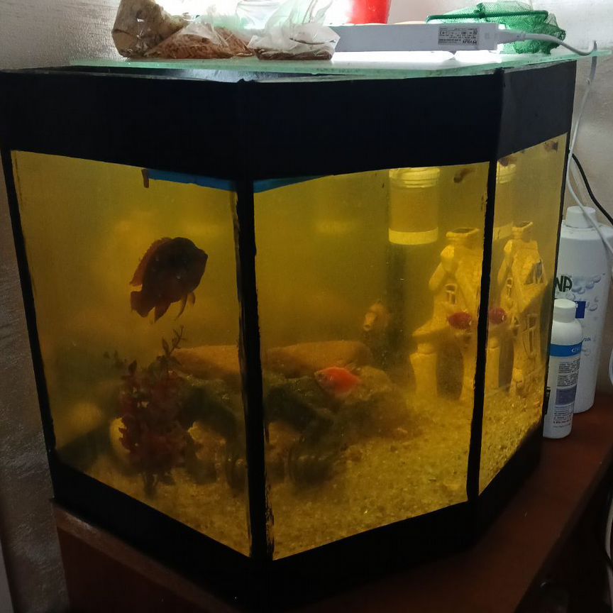 Аквариум с рыбками