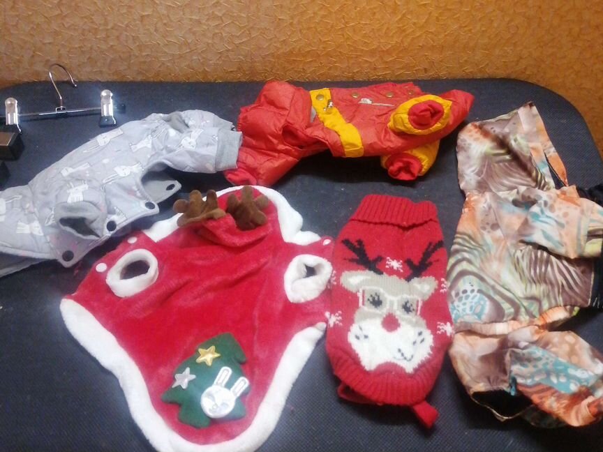 Костюм на чихуа/мини йорки и другую мелочь