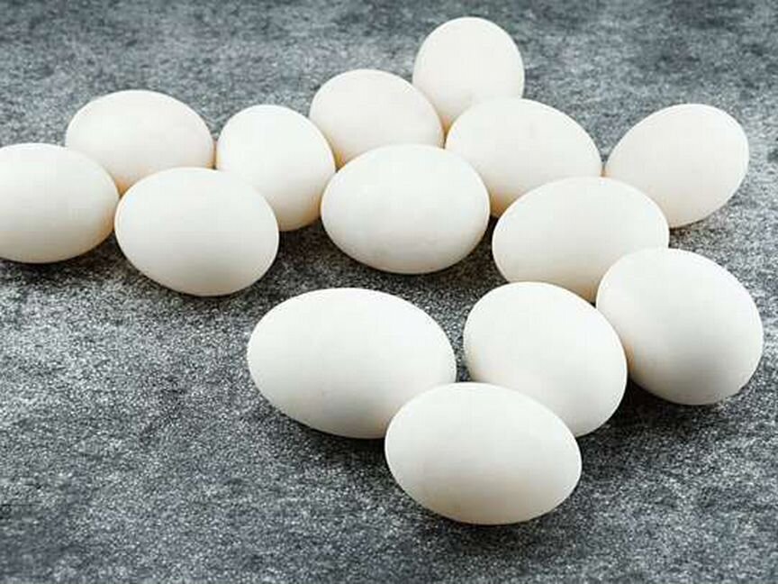 Продам гусиные яйца(Линда)