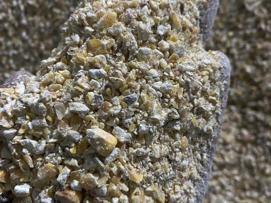 Кукуруза отсев