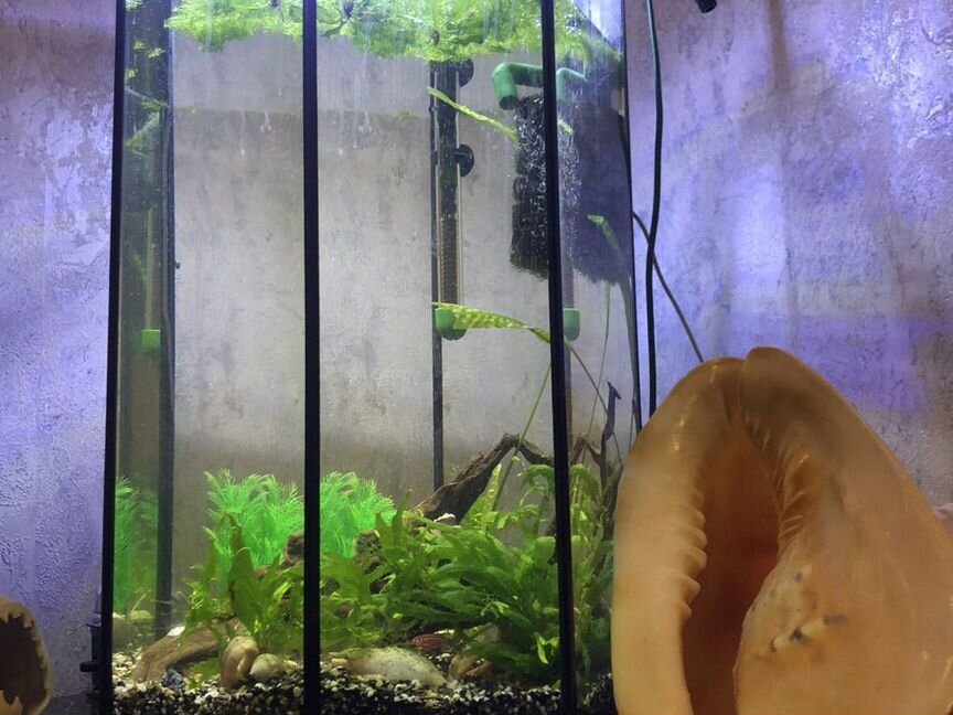 Аквариум 80л восьмигранный