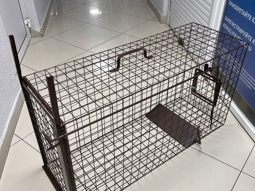 Ловушка для щенков