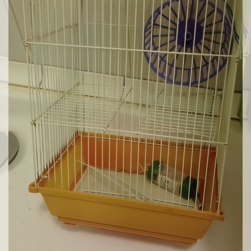 Клетка для хомяка бу