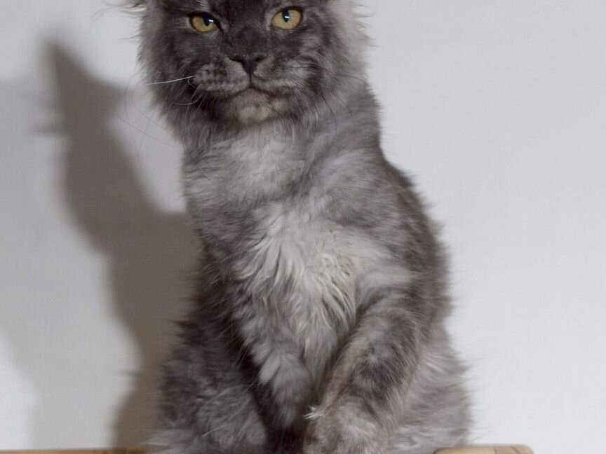 Дымная девочка пейн ун