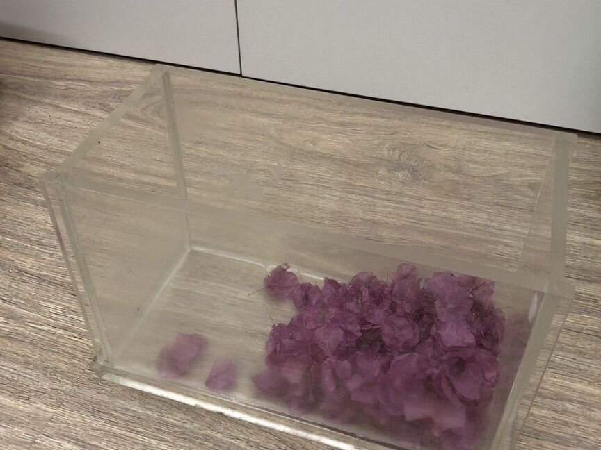 Акриловый аквариум