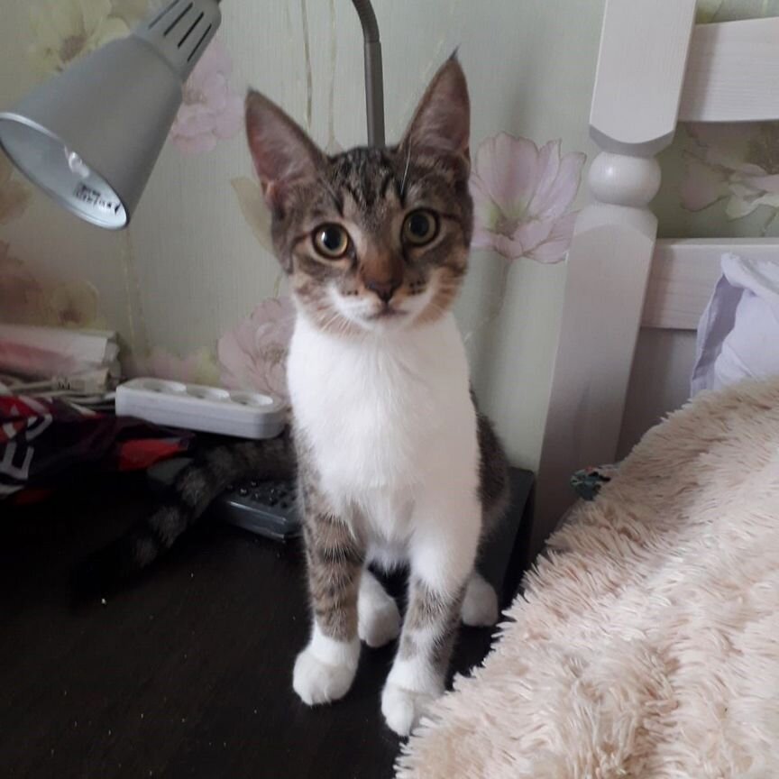 Маша подросток 5 месяцев