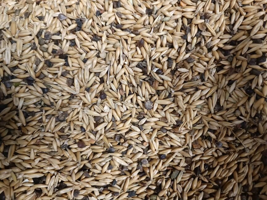 Зерносмесь №5