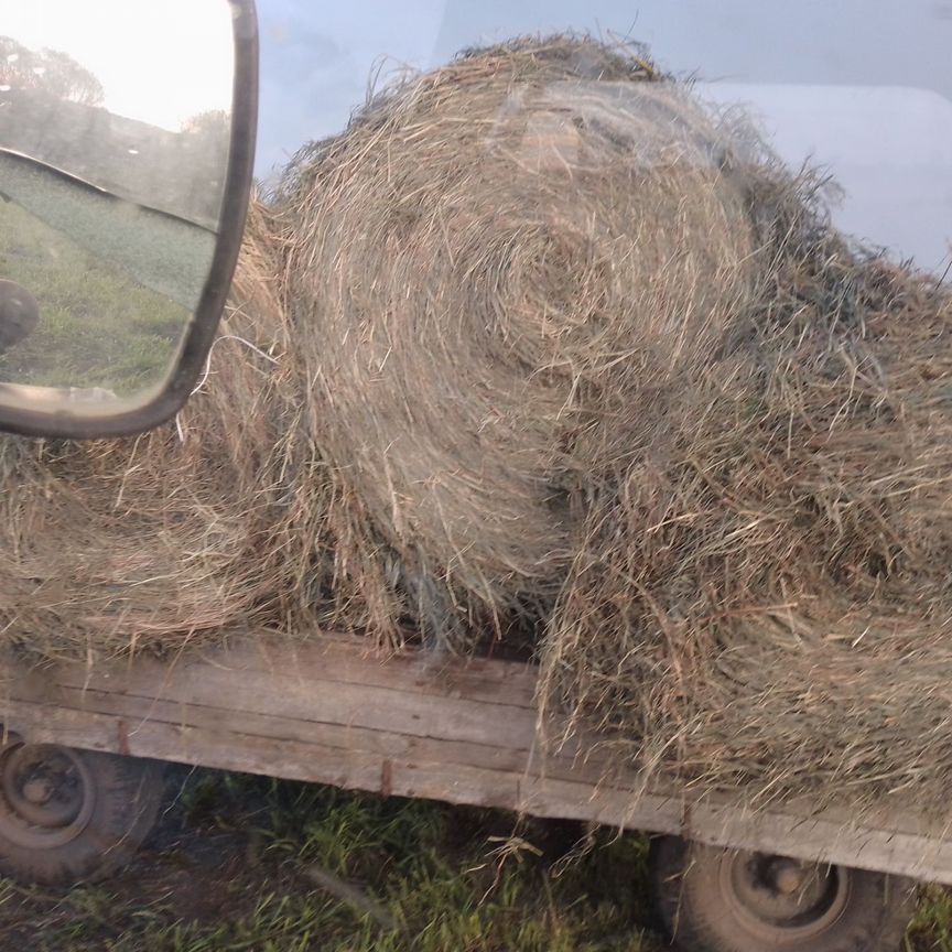 Сено костер в тюках