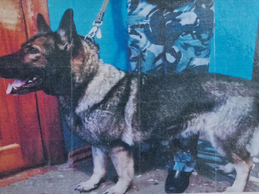 Ветеран фсин ищет дом для заслуженной пенсии