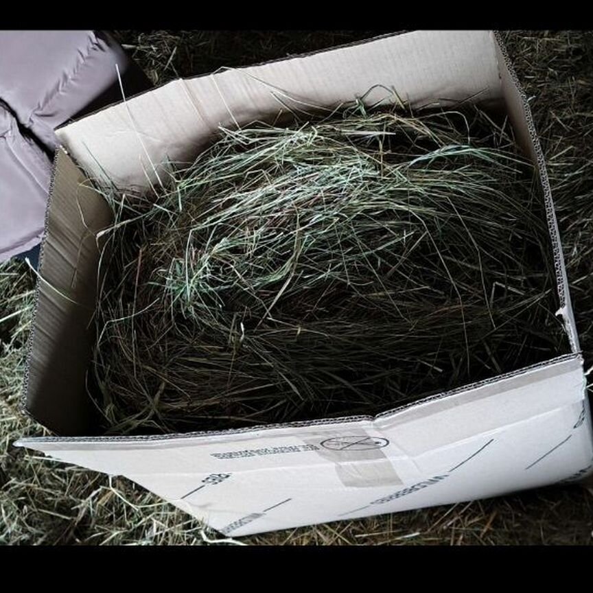 Сено в коробках