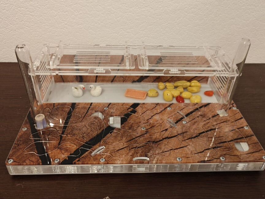 Формикарий для муравьев