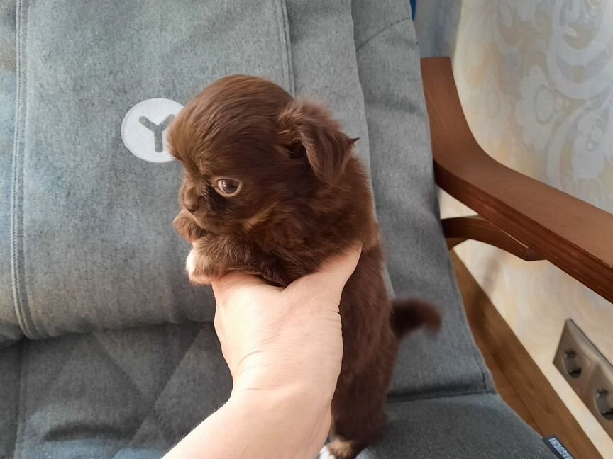 Мини мальЧишечка