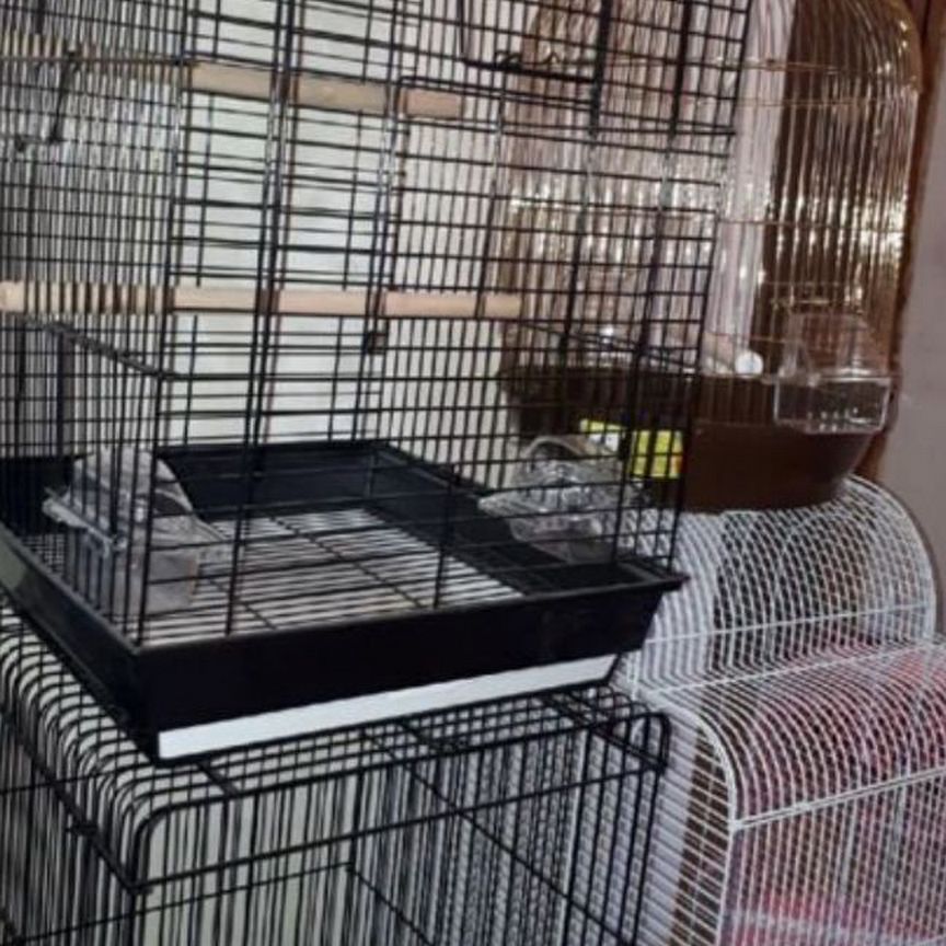 Клетки новые для попугаев
