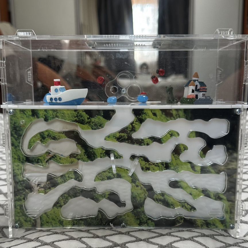 Муравьиная ферма