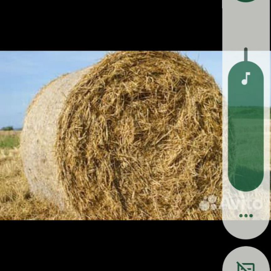 Солома ячменная в тюках