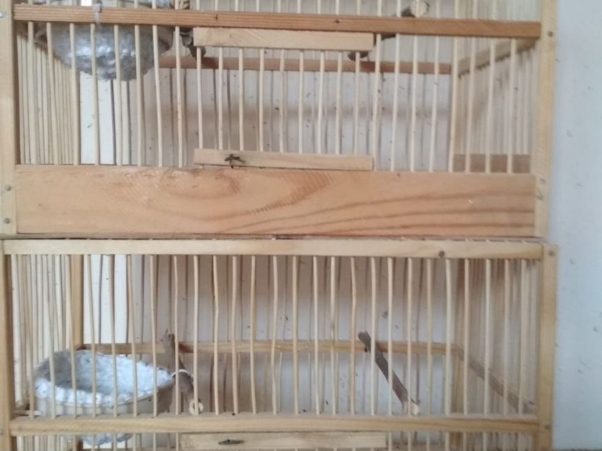 Клетки для канареек, ручной работы