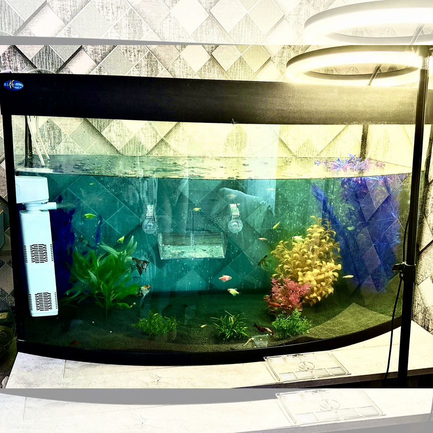 Аквариум 200л