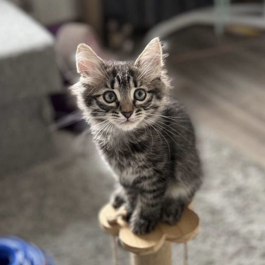 Малыш ждёт маму