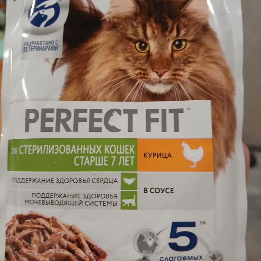 Влажный корм для кошек