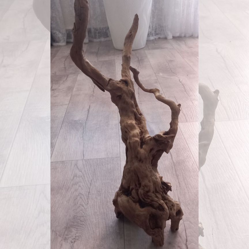 Коряга мангровая в аквариум