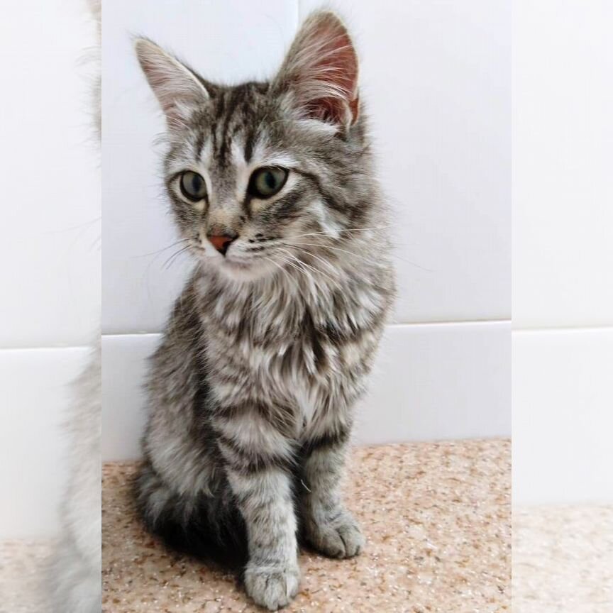 Чудесная малышка