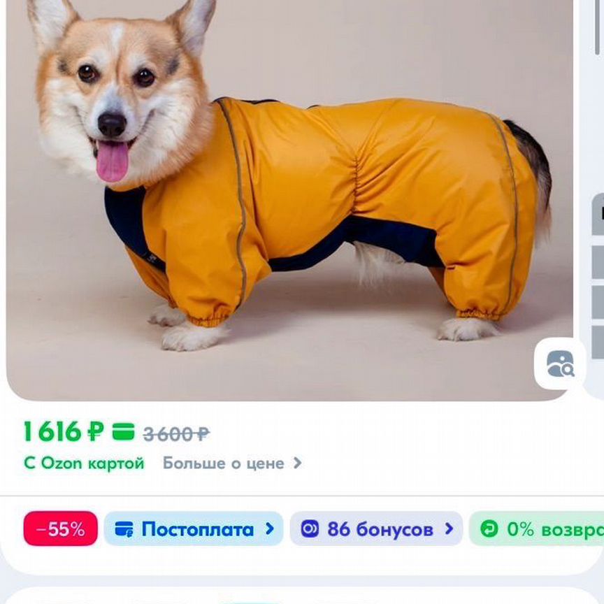 Дождевик для собаки девочки