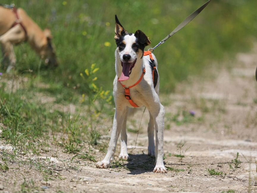 Бланка ищет семью