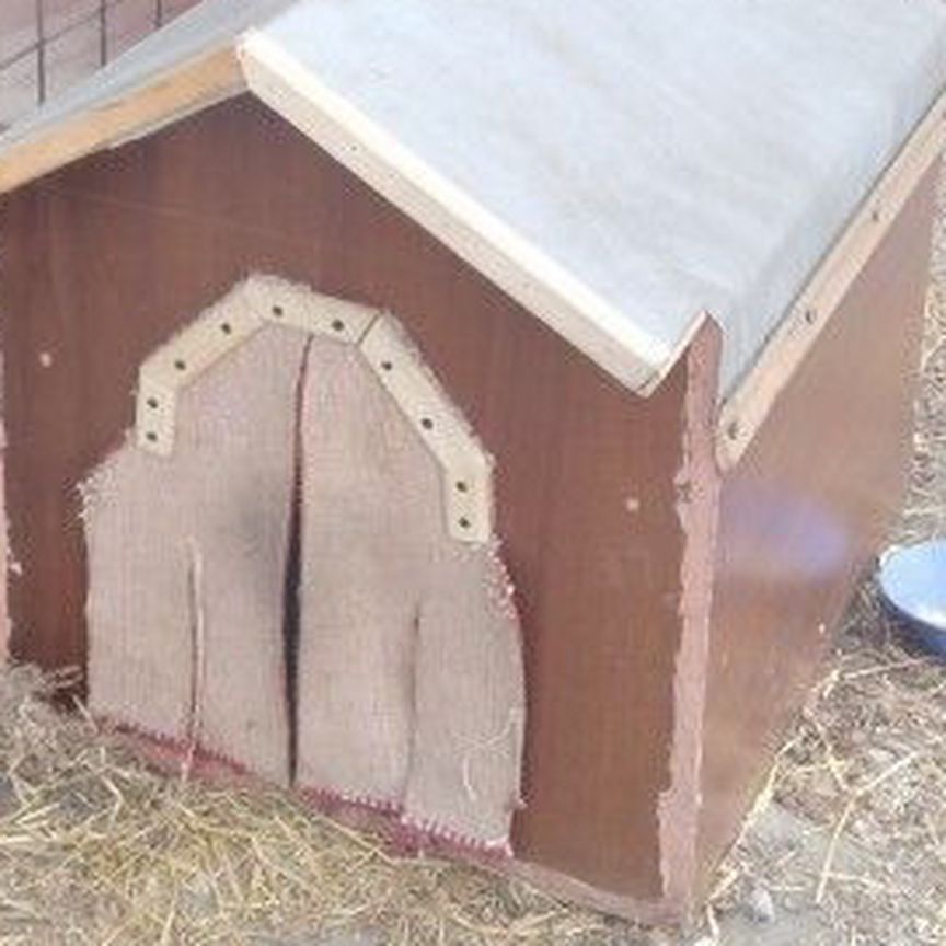 Собачий домик