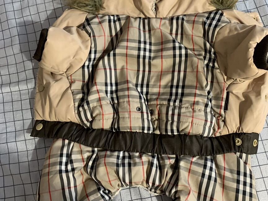 Одежда для маленьких собак