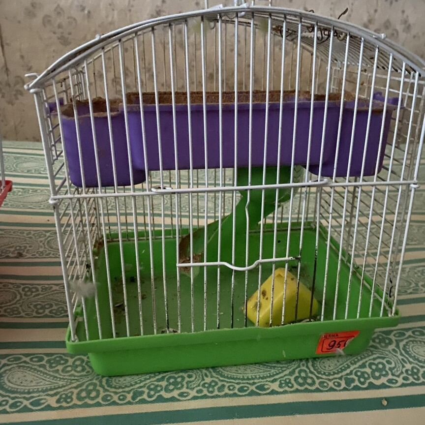 Клетки