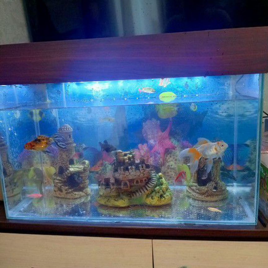 Аквариум 65 литров с рыбками и оборудованием