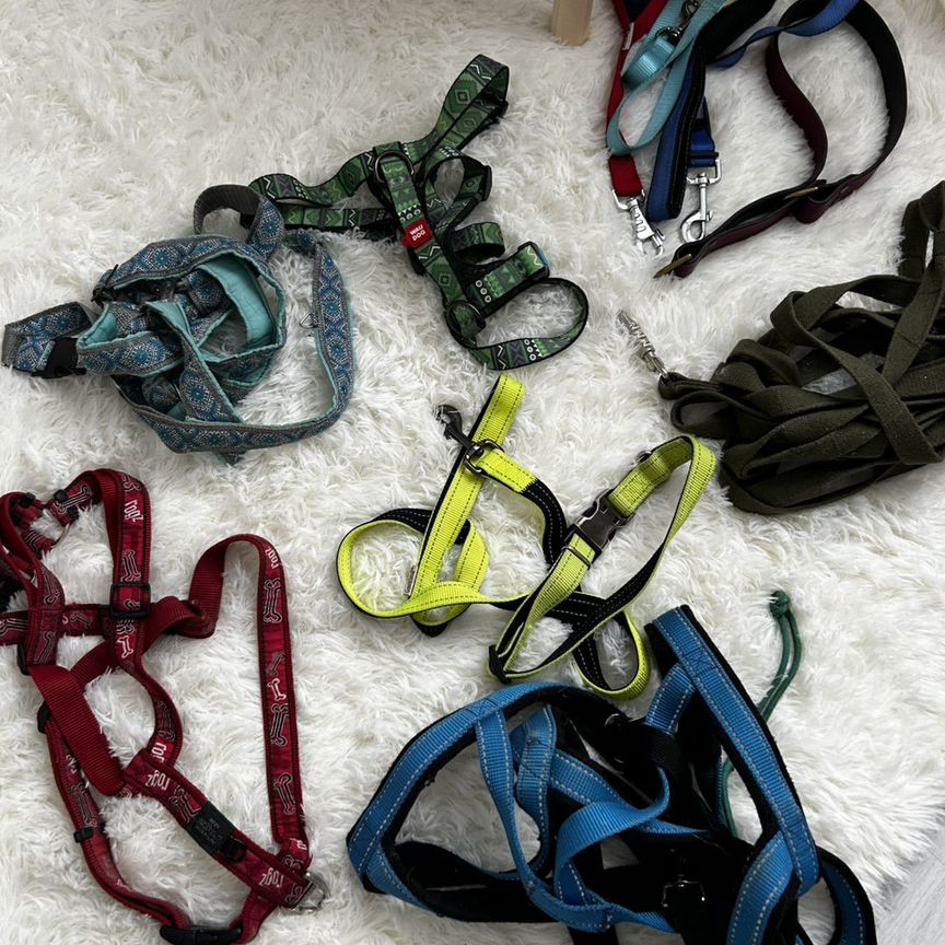 Шлейки и поводки для собак 5шт