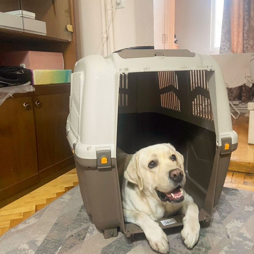 Skudo7бокс для перевоздки собак