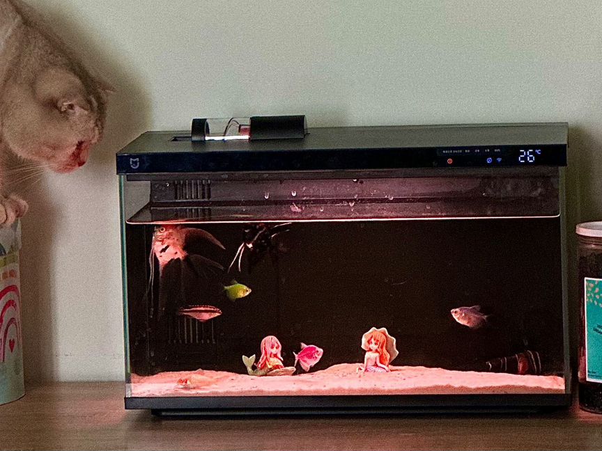 Аквариум xiaomi mijia smartfish tank+ комплект